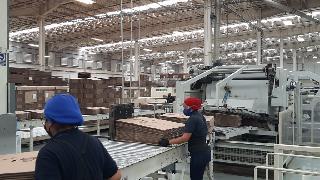 Biopappel al reciclar papel evita talar 15 mil árboles al día