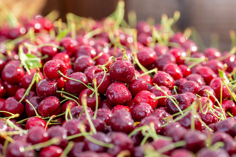 Llega la temporada de cerezas de verano