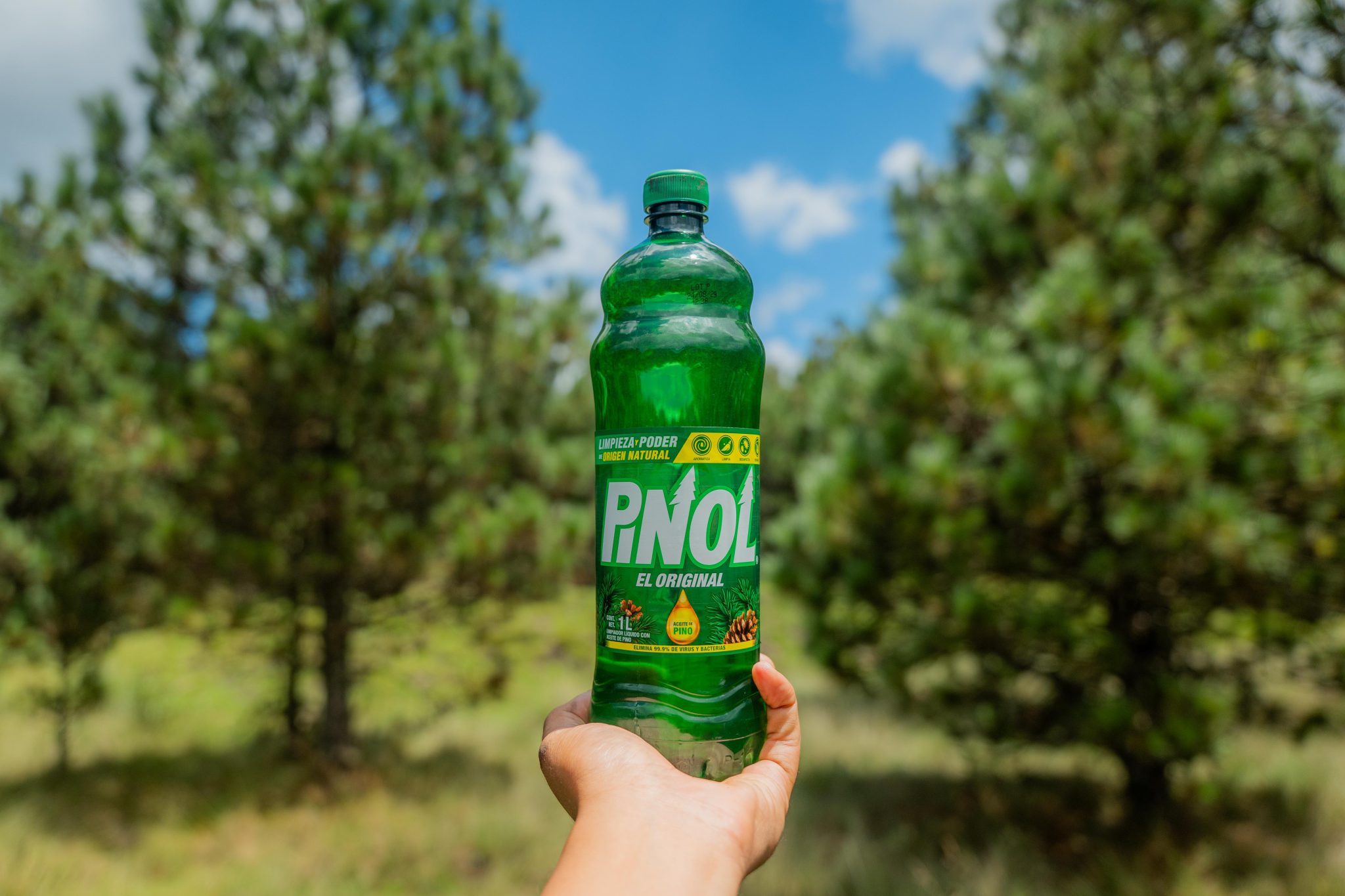 Pinol se suma por segunda vez como aliado a la Carrera “Amigos de los ...